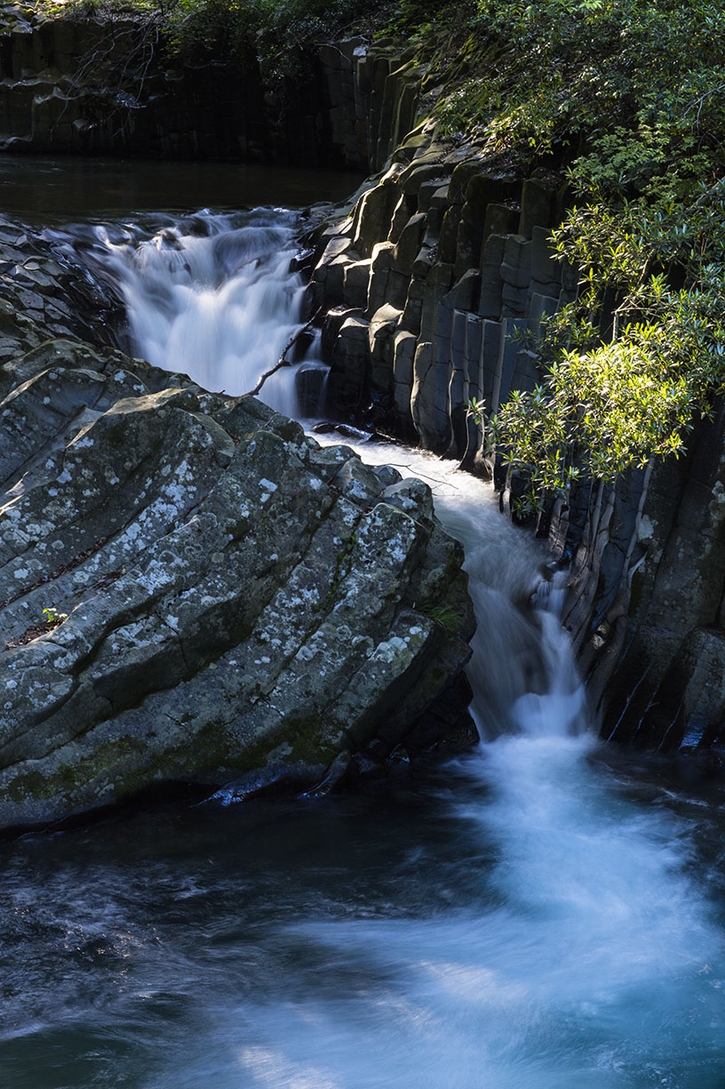 Primeval Forest at Mt. Amagi天城山の原生林 | Chikara KOMURA